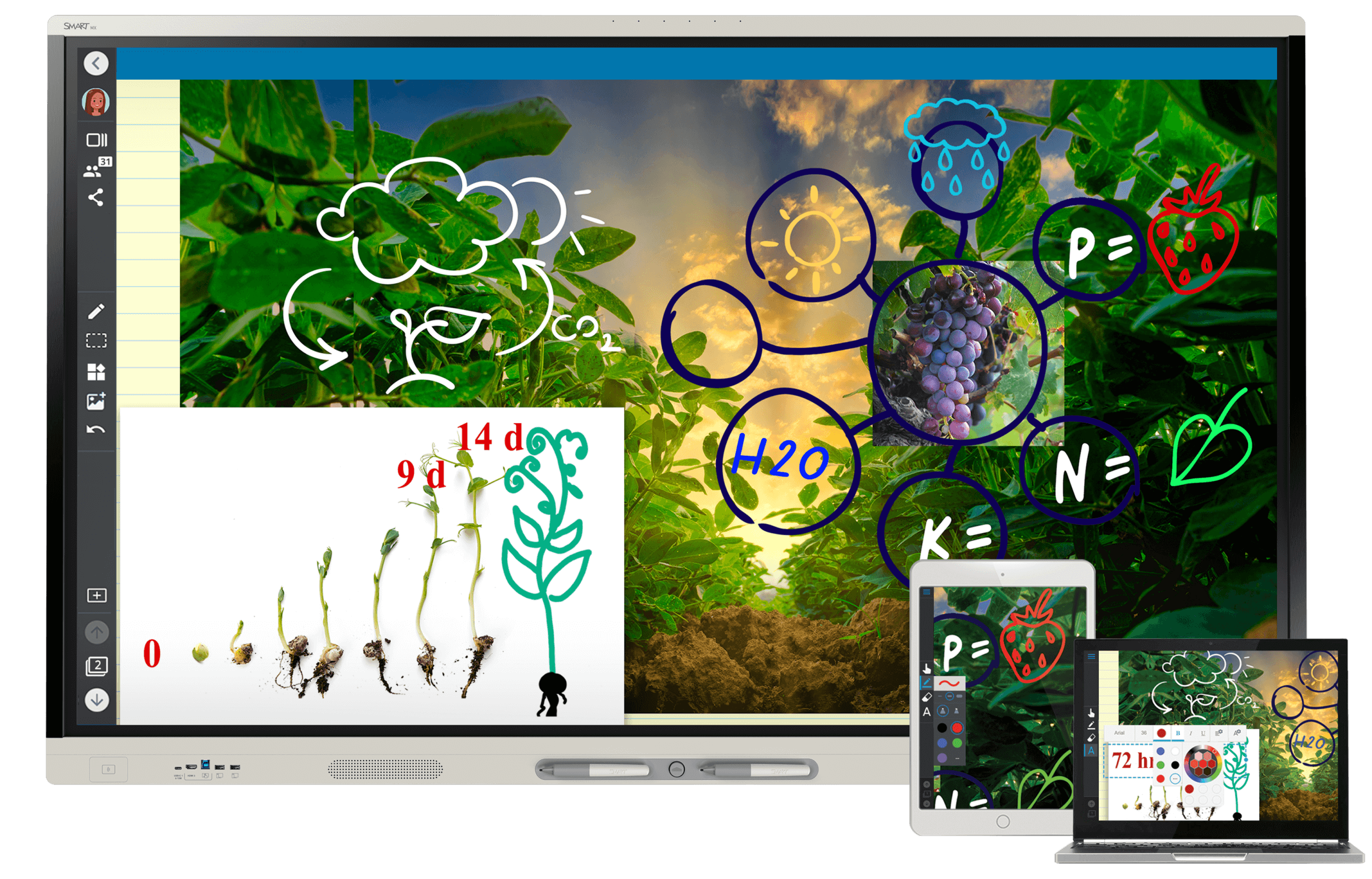 The SMART Board MX | SMART’s Best Choice for Value and Capability